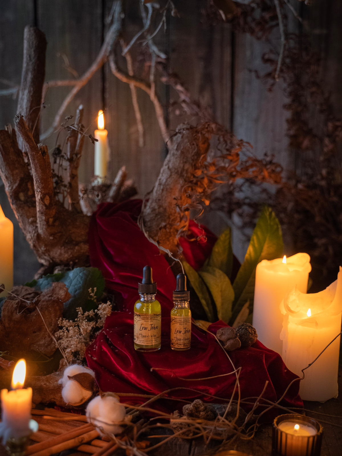 Root Oils – Haus of Hoodoo